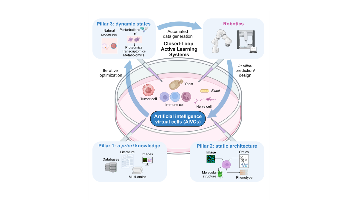 The WAY project: Westlake AI Virtual Cell – Yeast – Laboratory for ...