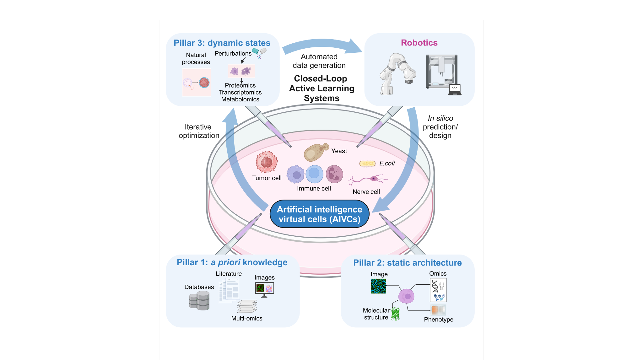 The WAY project: Westlake AI Virtual Cell – Yeast – Laboratory for ...